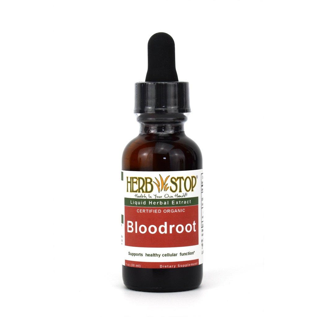 Bloodroot Extract | Herb Stop - Arizona's Herbal Store
